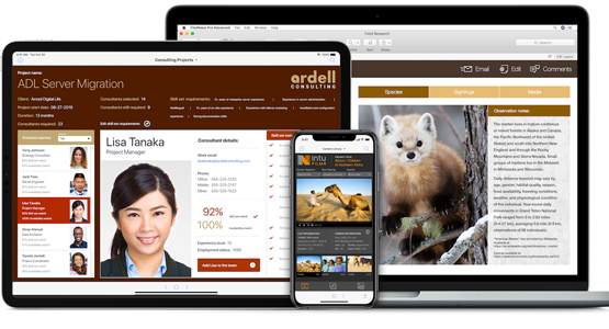 Claris FileMaker - Direct Impact Solutions